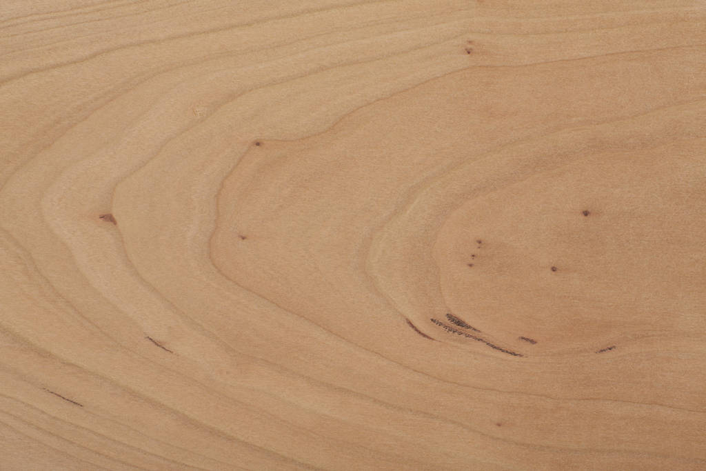 Species List - Abenaki Timber